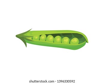 Open Pod Peas Vector Illustration On Stock Vector (Royalty Free ...