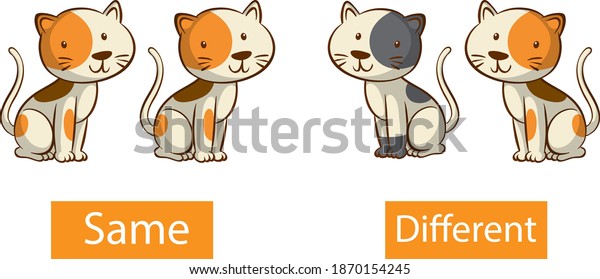 Opposite Adjective Words Same Different Illustration Stock Vector ...