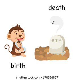 Opposite Birth Death Vector Illustration Stock Vector (Royalty Free ...