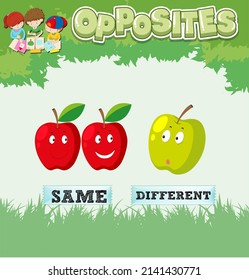 Opposite Words Same Different Illustration Stock Vector (Royalty Free ...