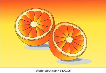 Orange Cut Half Vector Stock Vector (Royalty Free) 3400105 | Shutterstock