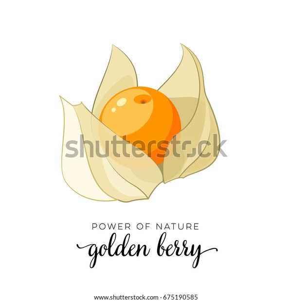 Orange golden berry flat icon with inscription colorful vector ...