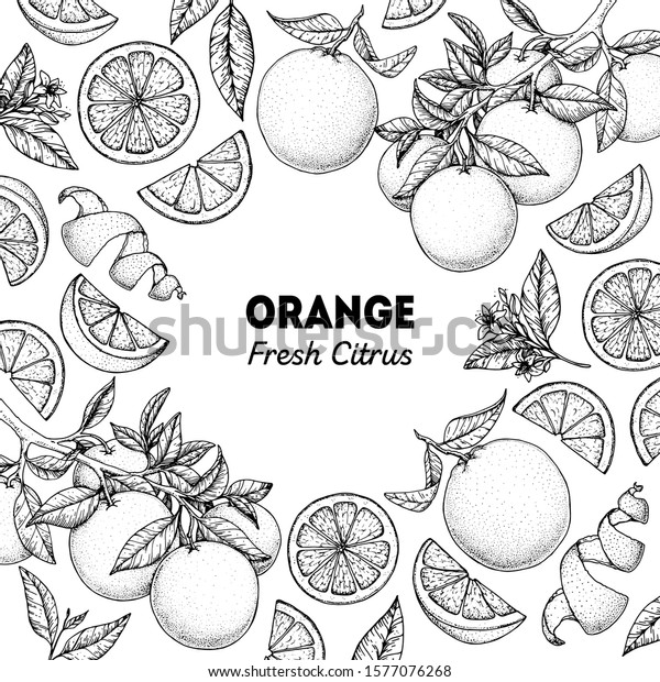 Orange Hand Drawn Package Design Vector Stock Vector (Royalty Free ...