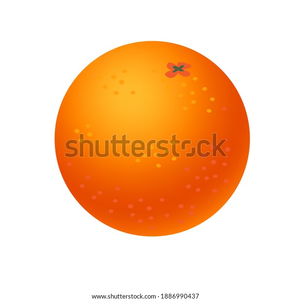 Orange Icon Cartoon Style Vector Illustration Stock Vector (Royalty ...