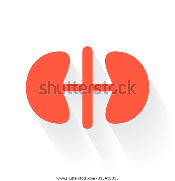 Orange Kidneys Symbol Drop Shadow On: เวกเตอร์สต็อก (ปลอดค่าลิขสิทธิ์ ...