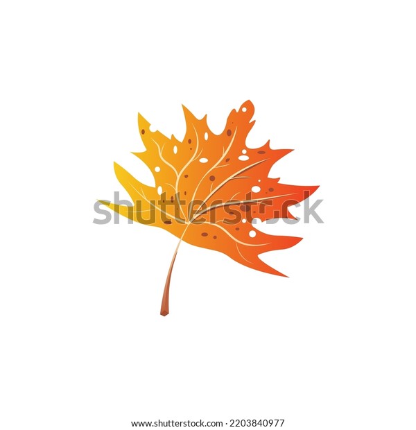 Orange Leaf Vector Illustration Autumn Leaf Stock Vector (Royalty Free ...