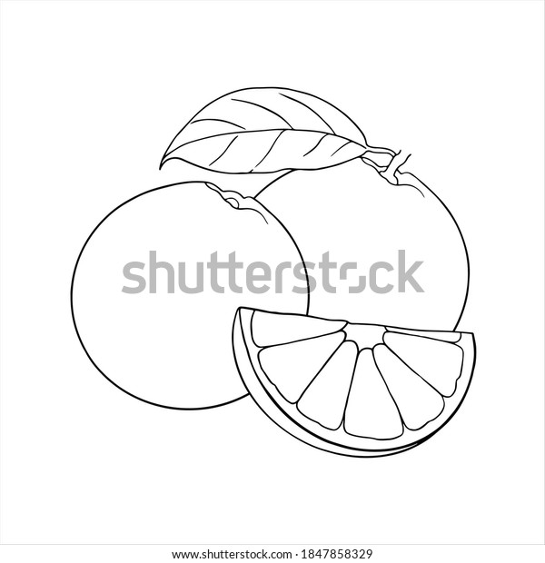 Orange Outline Vector Illustration Isolated Black Stock Vector (Royalty ...