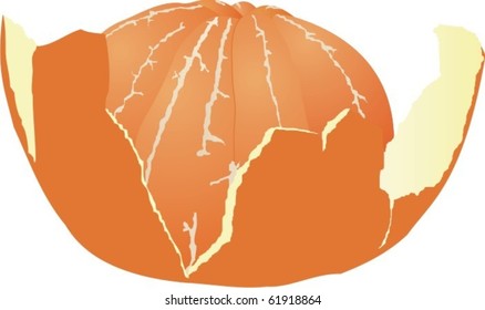 Orange Peel Stock Vector (Royalty Free) 61918864 | Shutterstock
