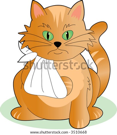 Orange Tabby Cat Broken Leg Stock Vector (Royalty Free) 3510668 ...