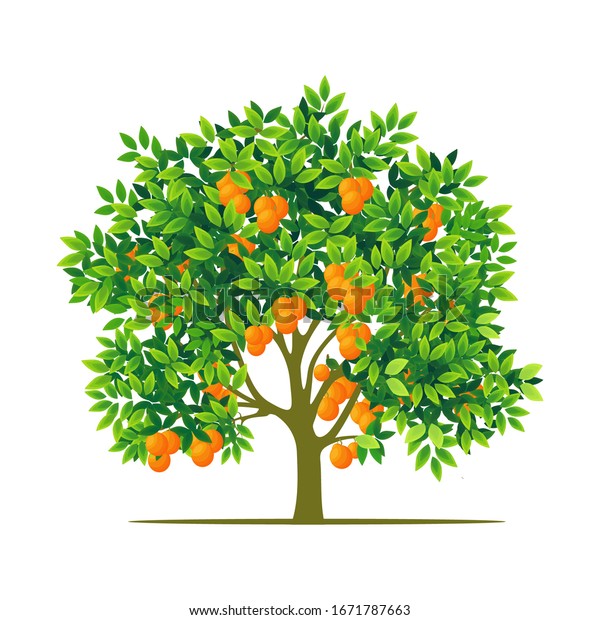 367,629 Orange Tree Illustration Images, Stock Photos & Vectors ...