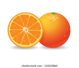 Orange Vector Illustration Stock Vector (Royalty Free) 110223860 ...