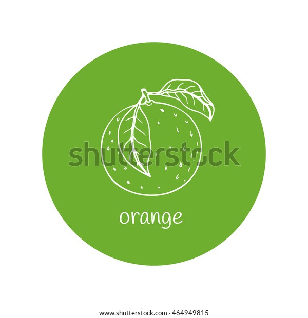 Orange Vector Illustration Orange Outline Icon Stock Vector (Royalty ...