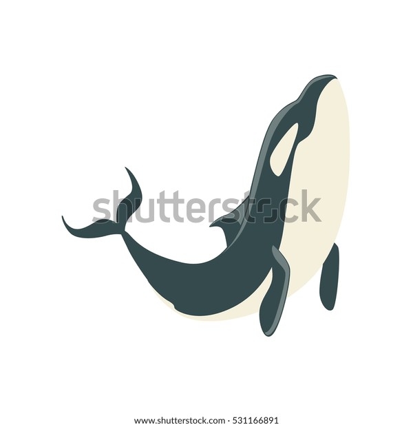 Orca Black White Arctic Killer Whale Stock Vector (Royalty Free) 531166891