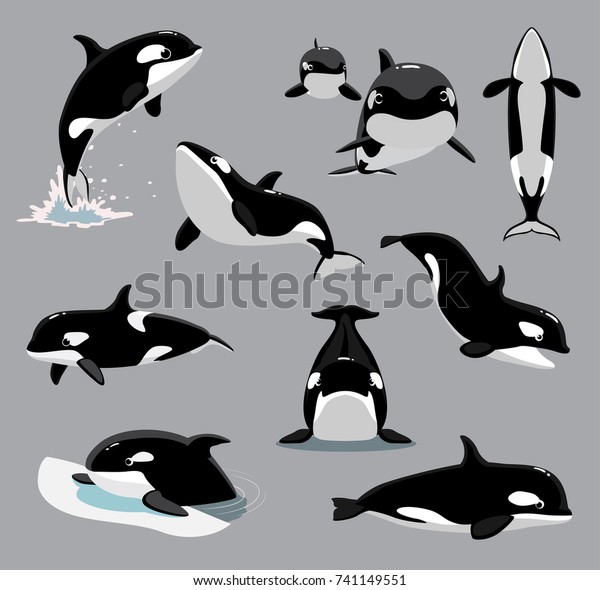 Orca Killer Whale Poses Cartoon Vector Stock Vector (Royalty Free ...