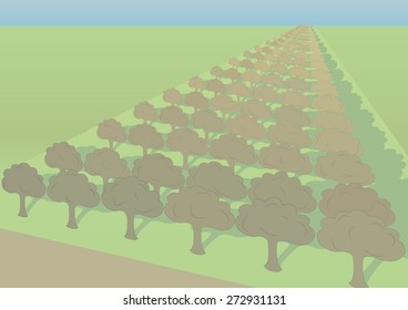 Orchard Landscape Vector Illustration Stock Vector (Royalty Free ...