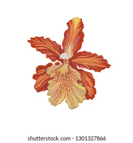 Orchid Cattleya Flower Vector Hand Drawn Stock Vector (Royalty Free ...