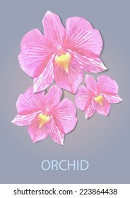 Orchid Polygon Geometric Stock Vector (Royalty Free) 223864438 ...