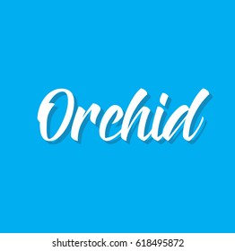 Vektor Stok Indore Text Design Vector Calligraphy Typography (Tanpa ...