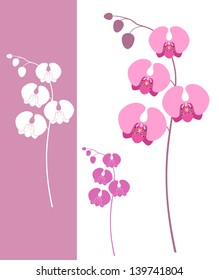 Orchid Vector Illustration: เวกเตอร์สต็อก (ปลอดค่าลิขสิทธิ์) 139741804 ...