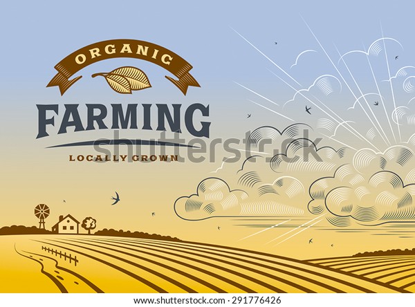Organic Farming Landscape Editable Vector Illustration Stock Vector ...