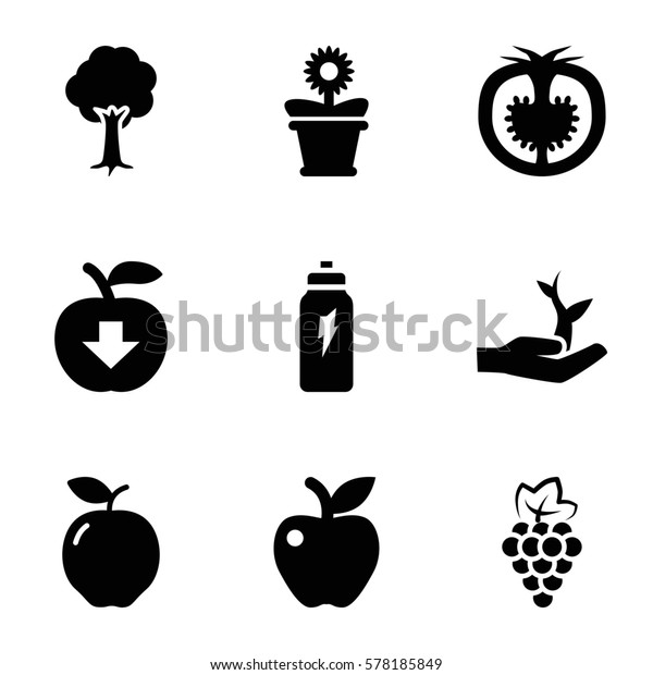 Organic Icon Set 9 Organic Filled Stock Vector (Royalty Free) 578185849