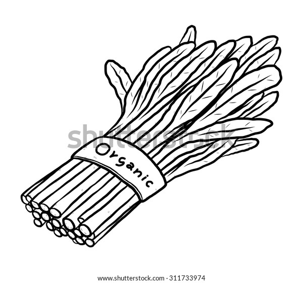 Organic Vegetable Cartoon Vector Illustration Black Stock Vector ...