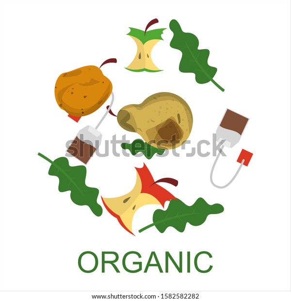 Organic Waste Collection Vector Isolated Food Stock Vector (Royalty ...