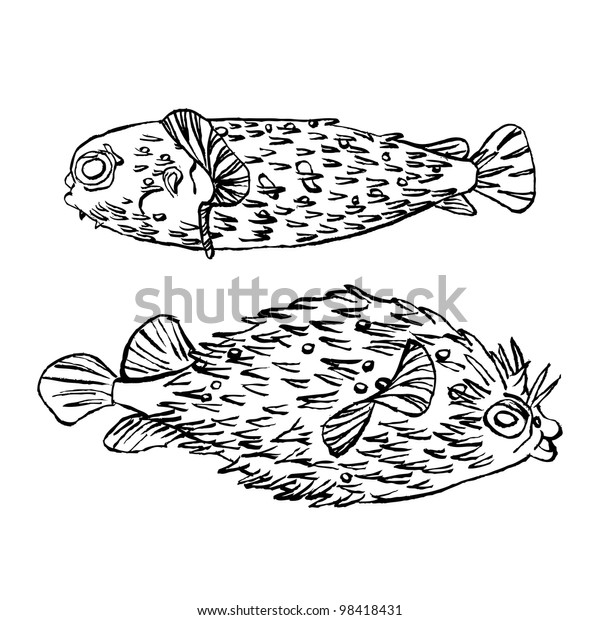 Original Drawing Two Fish Spine Porcupine Stock Vector (Royalty Free ...