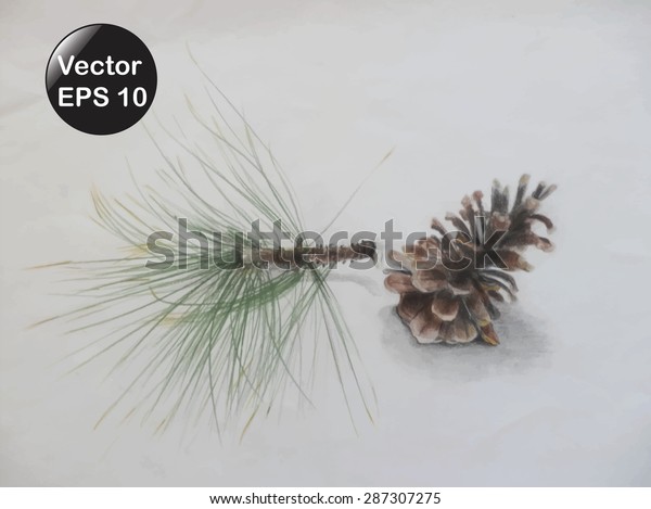 Original Hand Drawn Color Pencil Pine Stock Vector (Royalty Free ...