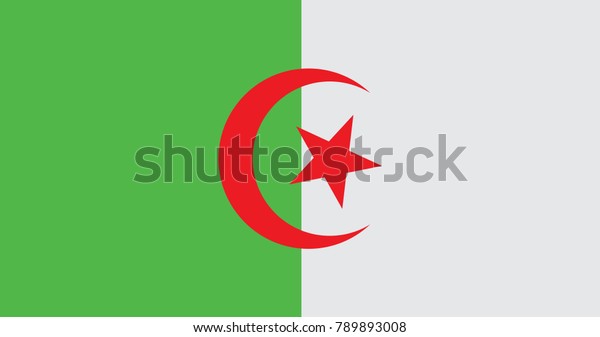 Original Simple Algeria Flag Isolated Vector Stock Vector (Royalty Free ...