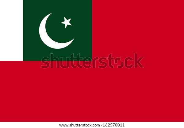 Original Simple Pakistan Flag Isolated Vector Stock Vector (Royalty ...
