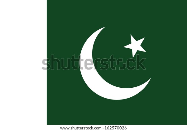 Original Simple Pakistan Flag Isolated Vector Stock Vector (Royalty ...