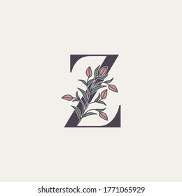 773 Letter z fancy Images, Stock Photos & Vectors | Shutterstock