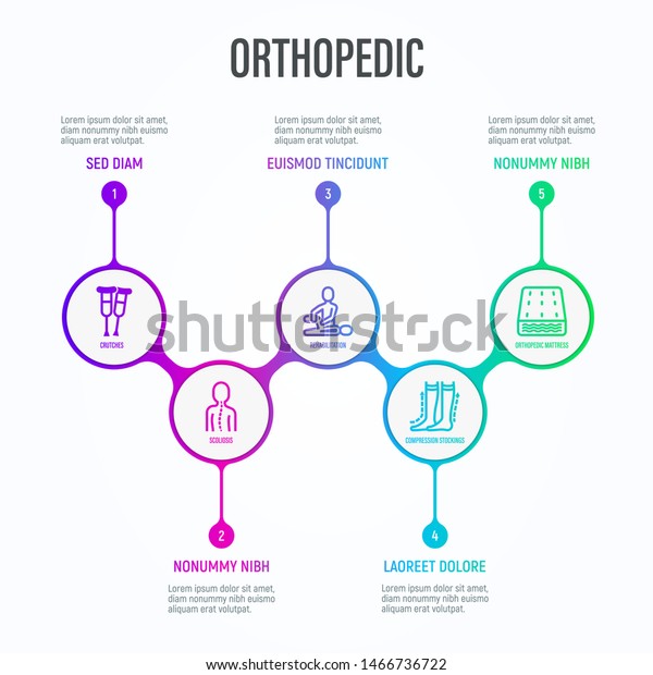 Orthopedic Infographics Circles Thin Line Icons Stock Vector (Royalty ...