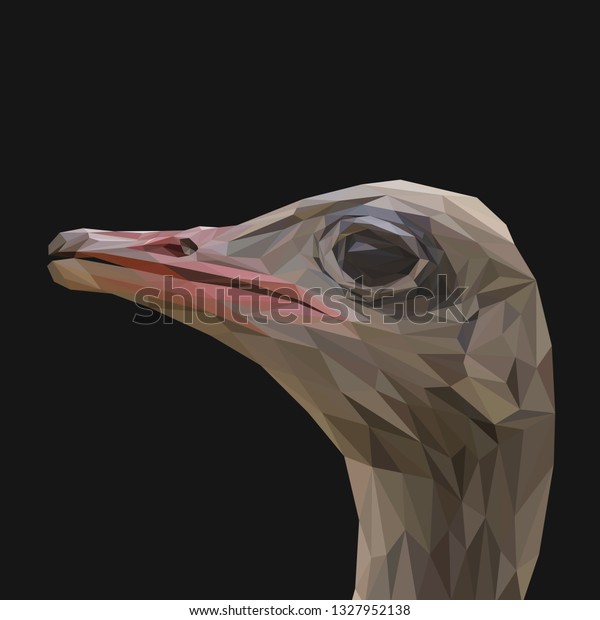 Ostrich Low Poly Design Triangle Vector Stock Vector (Royalty Free ...