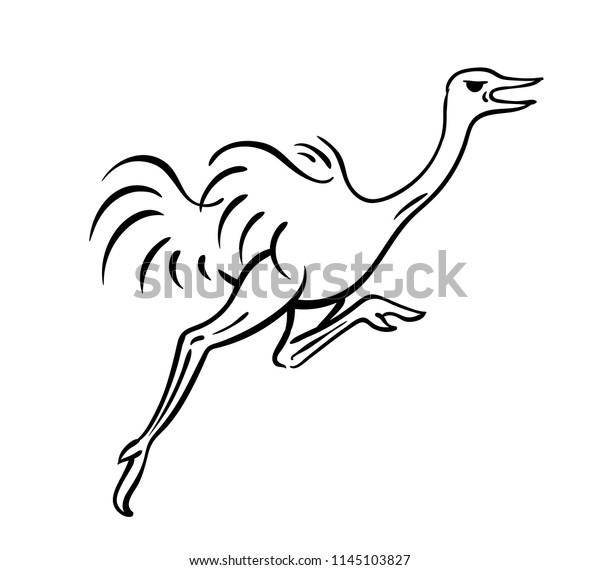 Ostrich running vector illustration sketch of bird outline drawing in ...