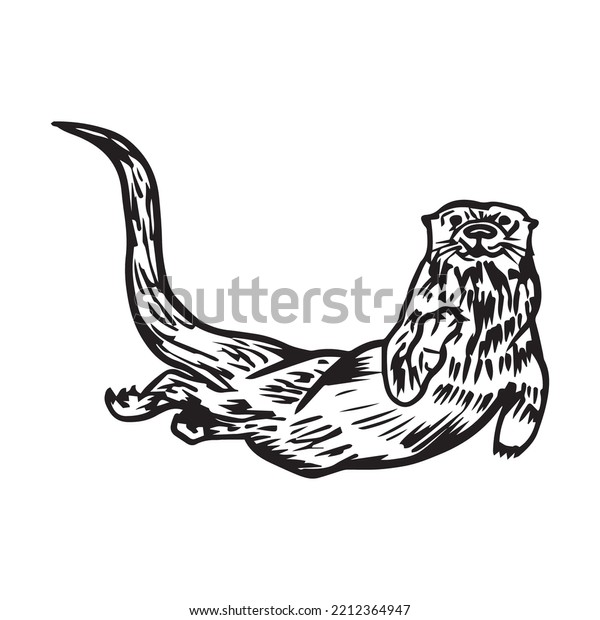 Otter Graphic Design Vector Illustration Art Stock Vector (Royalty Free ...