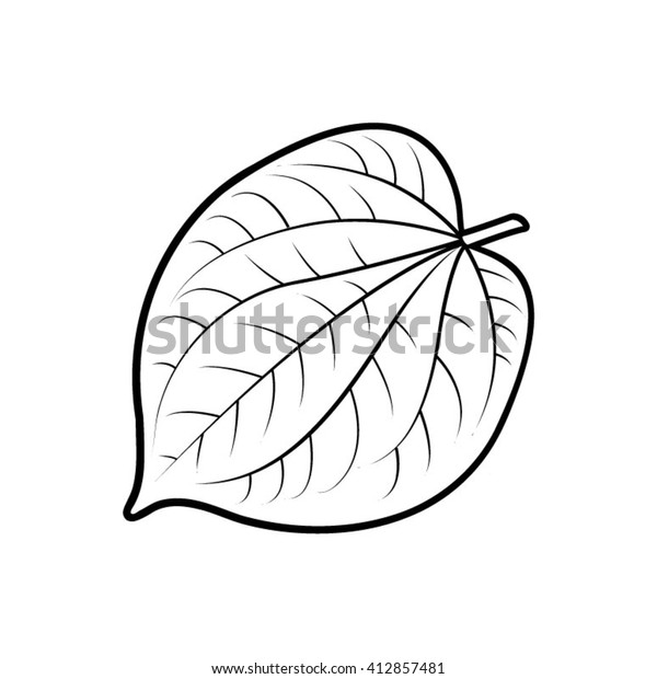 546 imágenes de Betel leaf image - Imágenes, fotos y vectores de stock ...