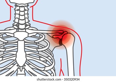 Outline Body Bone Which Have Shoulder Stock Vector (Royalty Free ...
