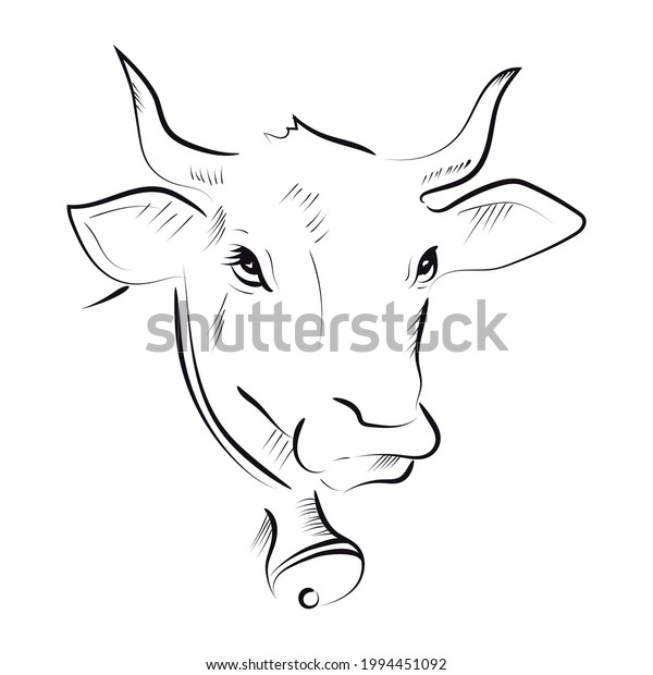 Outline Drawing Bull Hand Vector Illustration Stock Vector (Royalty ...
