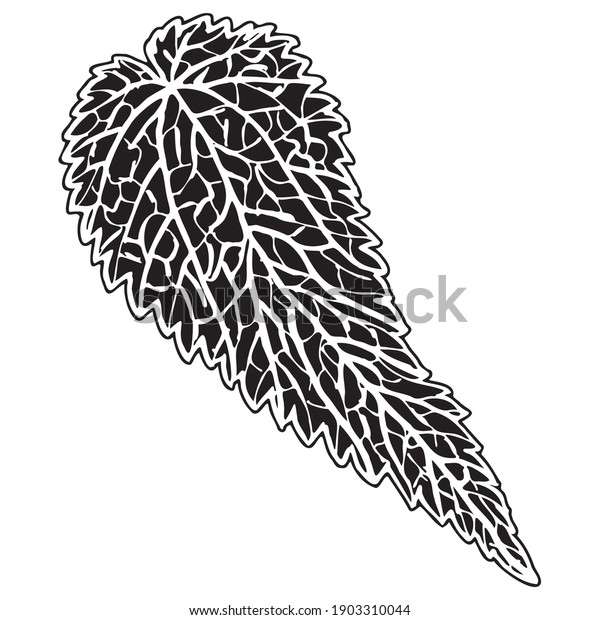 Outline Drawing Nettle Leaf Herbarium Stock Vector (Royalty Free ...