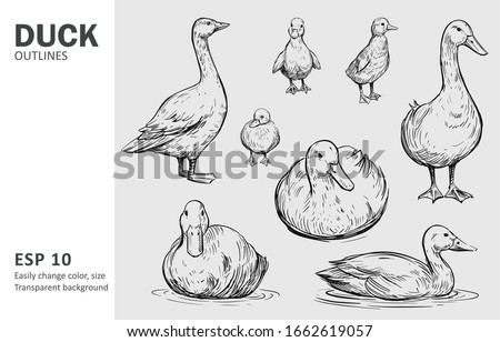 Duck Line Drawing | Free download on ClipArtMag