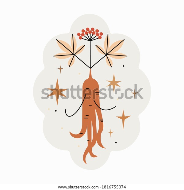 Outline Emblem Logo Red Panax Ginseng: เวกเตอร์สต็อก (ปลอดค่าลิขสิทธิ์ ...