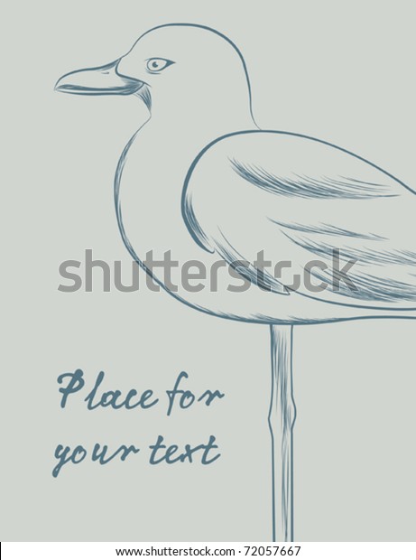 Outline Illustration Seagull Stock Vector (Royalty Free) 72057667