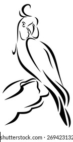 10,085 Parrot outline Images, Stock Photos & Vectors | Shutterstock