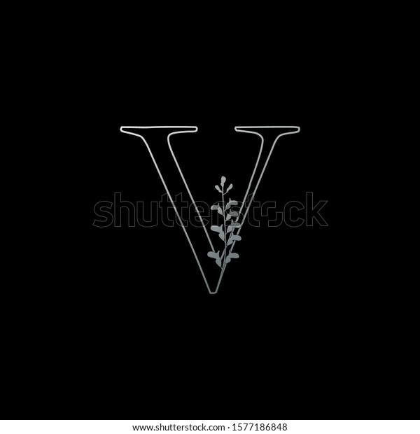 Outline Letter V Logo Icon Vintage Stock Vector (Royalty Free ...