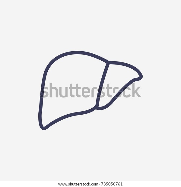 Outline Liver Icon Illustration Vector Symbol Stock Vector (Royalty ...
