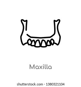 Outline Maxilla Vector Icon Isolated Black Stock Vector (Royalty Free ...