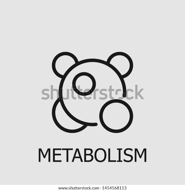 Outline Metabolism Vector Icon Metabolism Illustration Stock Vector ...