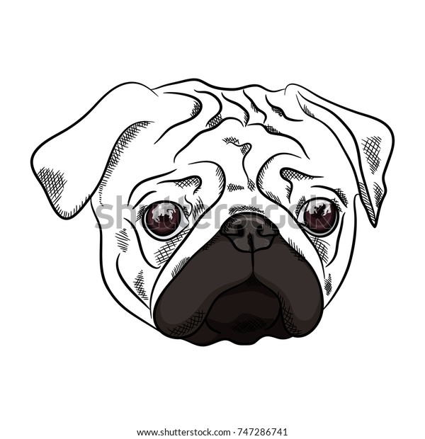 Outline Pug Dog Head On White Stock Vector (Royalty Free) 747286741